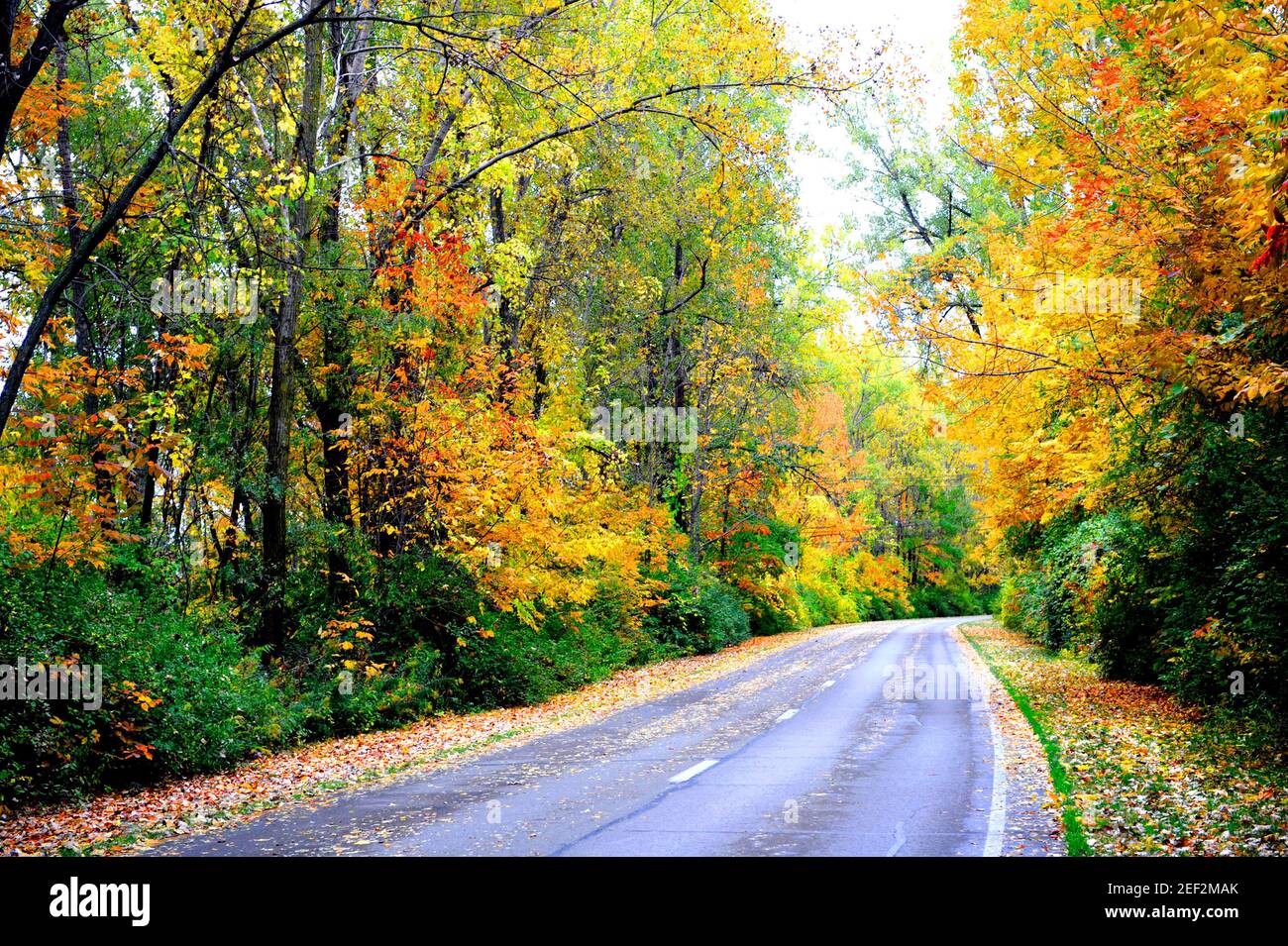 Pennsylvania forest road hi-res stock photography and images - Alamy