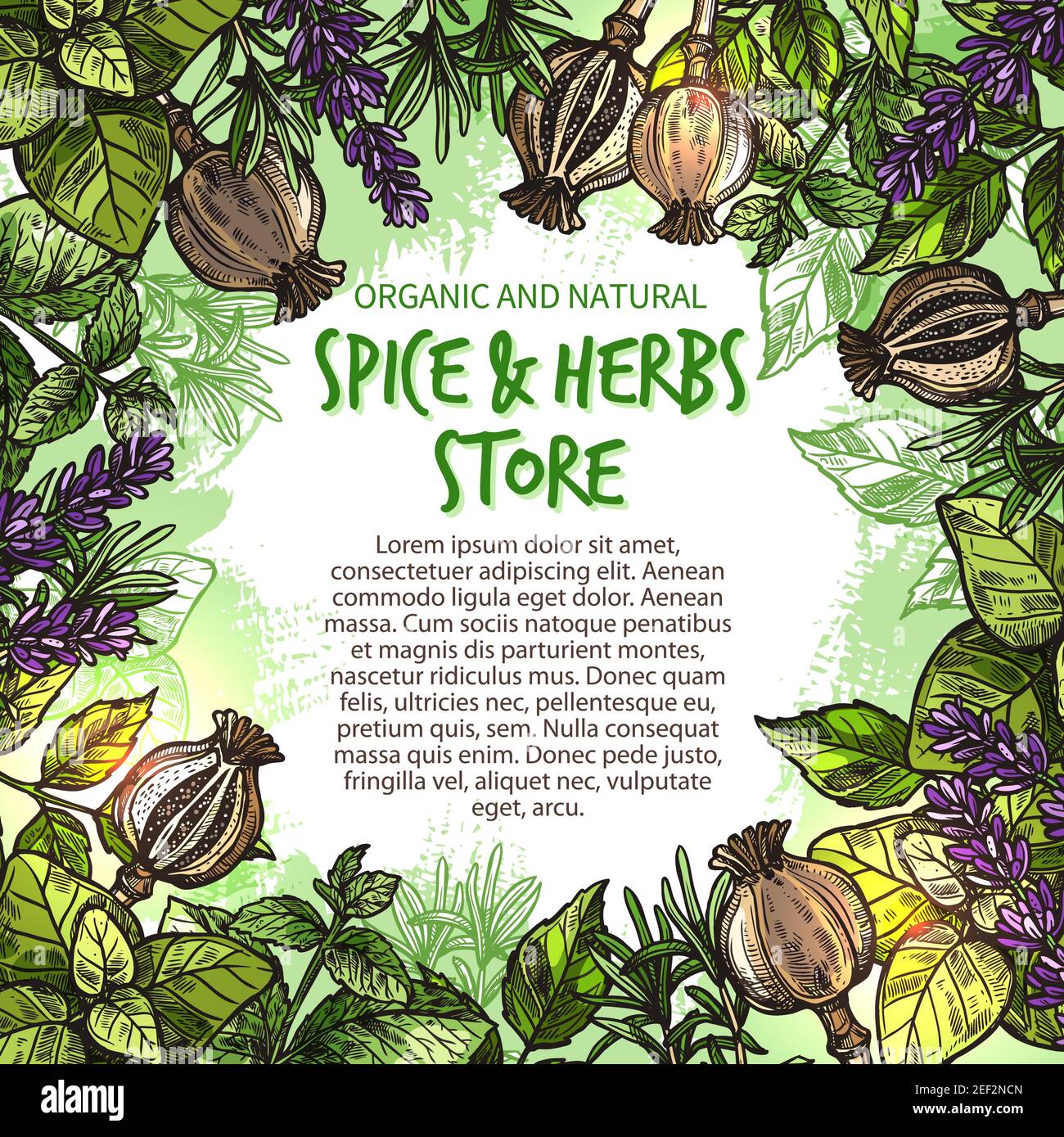 Market spice Stock Vector Images - Alamy