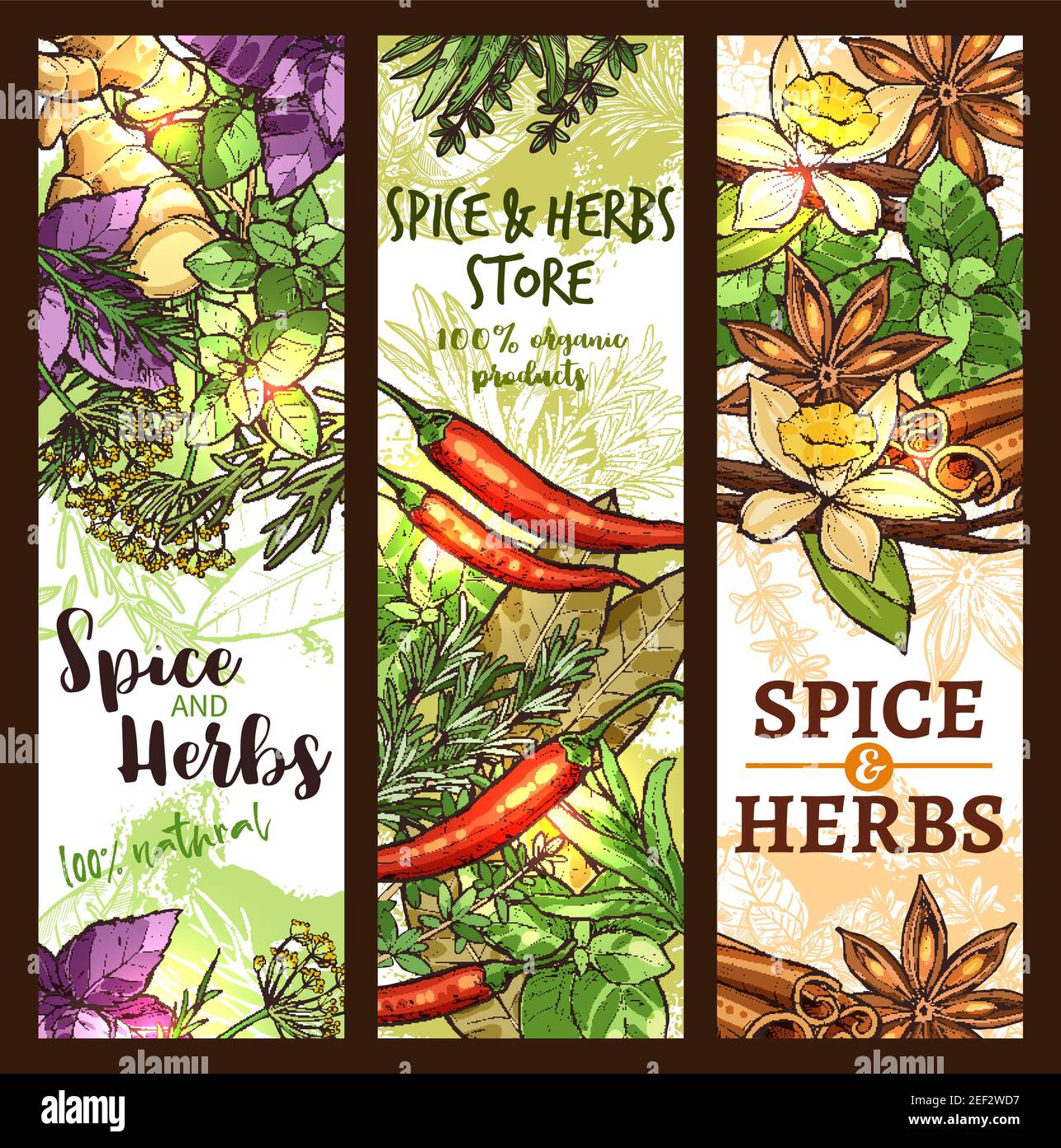 Herbs and spices store sketch banners design template. Vector organic ...