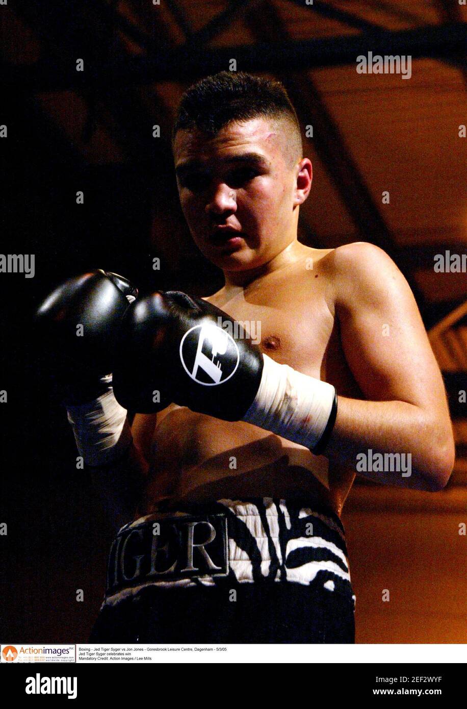 Tiger Jones High Resolution Stock Photography and Images - Alamy