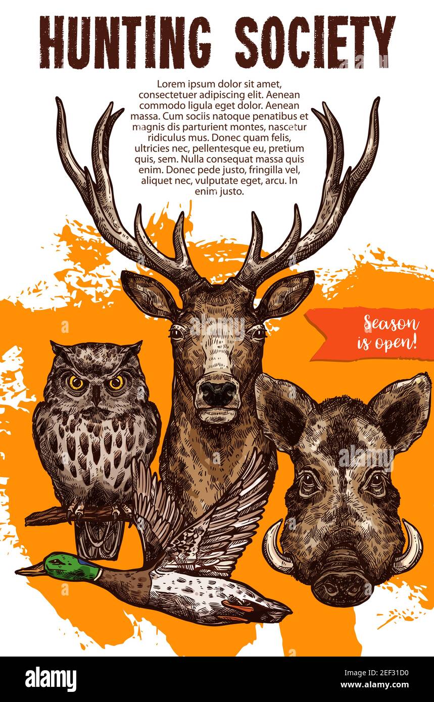 Wild boar trophy Stock Vector Images - Alamy