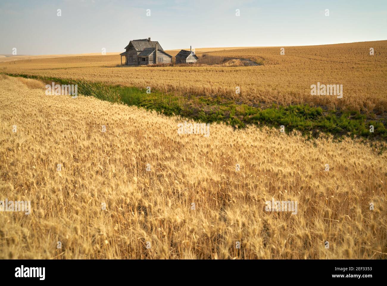 Rustic Abandoned Farmhouse. Old abandoned farm buildings on ...