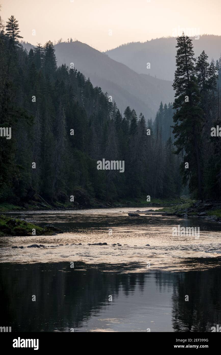 Selway hi-res stock photography and images - Alamy