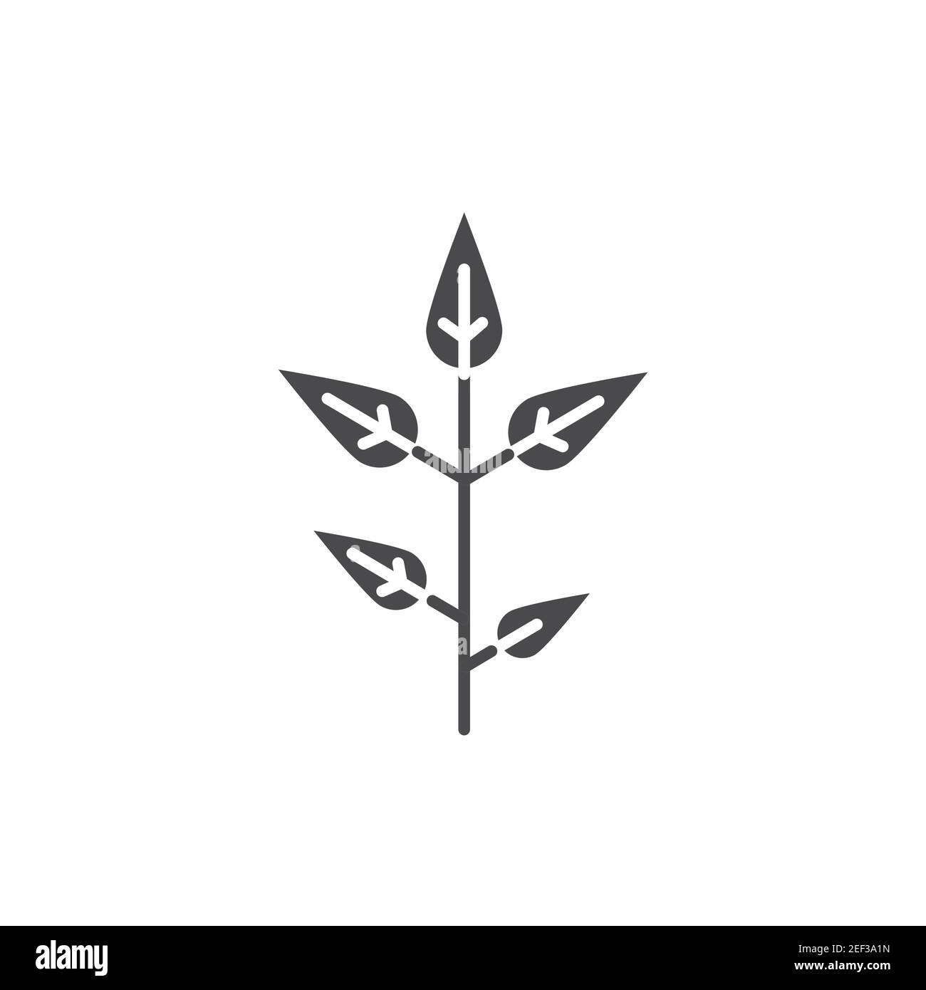 Matcha green tea illustration Black and White Stock Photos & Images - Alamy