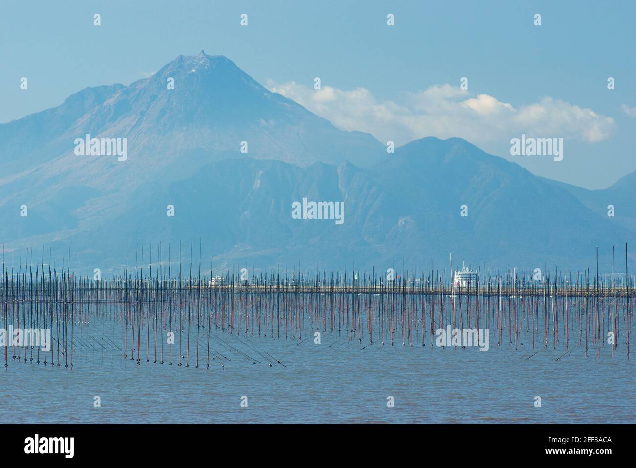 Net for Seaweed in Okisin Fishing Port and Mt. Fugen, Kyushu Region ...