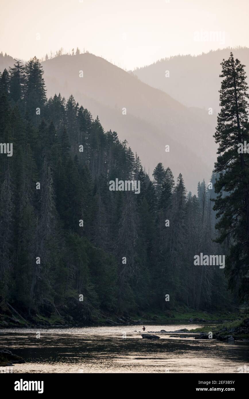 Selway hi-res stock photography and images - Alamy