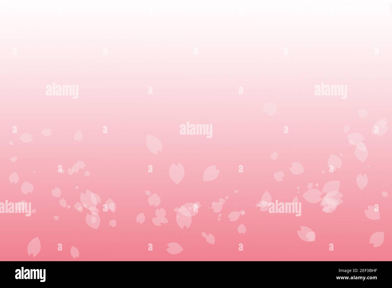 Cherry Blossoms Falling Stock Photo - Alamy