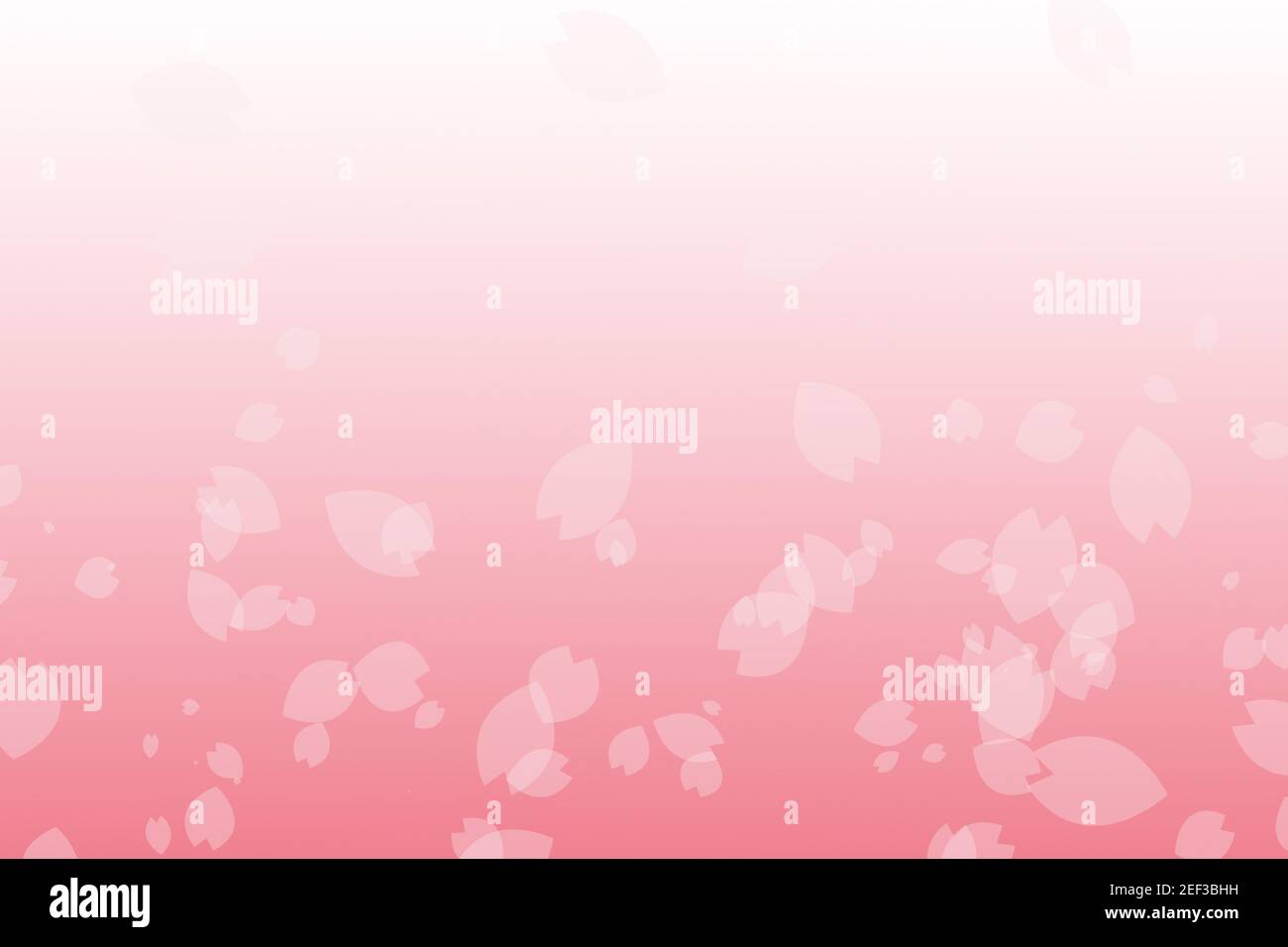 Cherry Blossoms Falling Stock Photo - Alamy