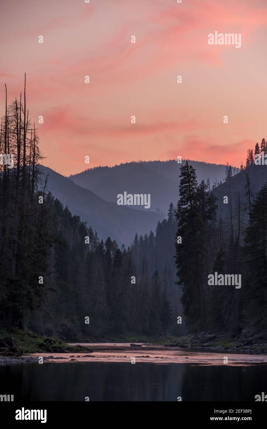 Selway idaho hi-res stock photography and images - Alamy
