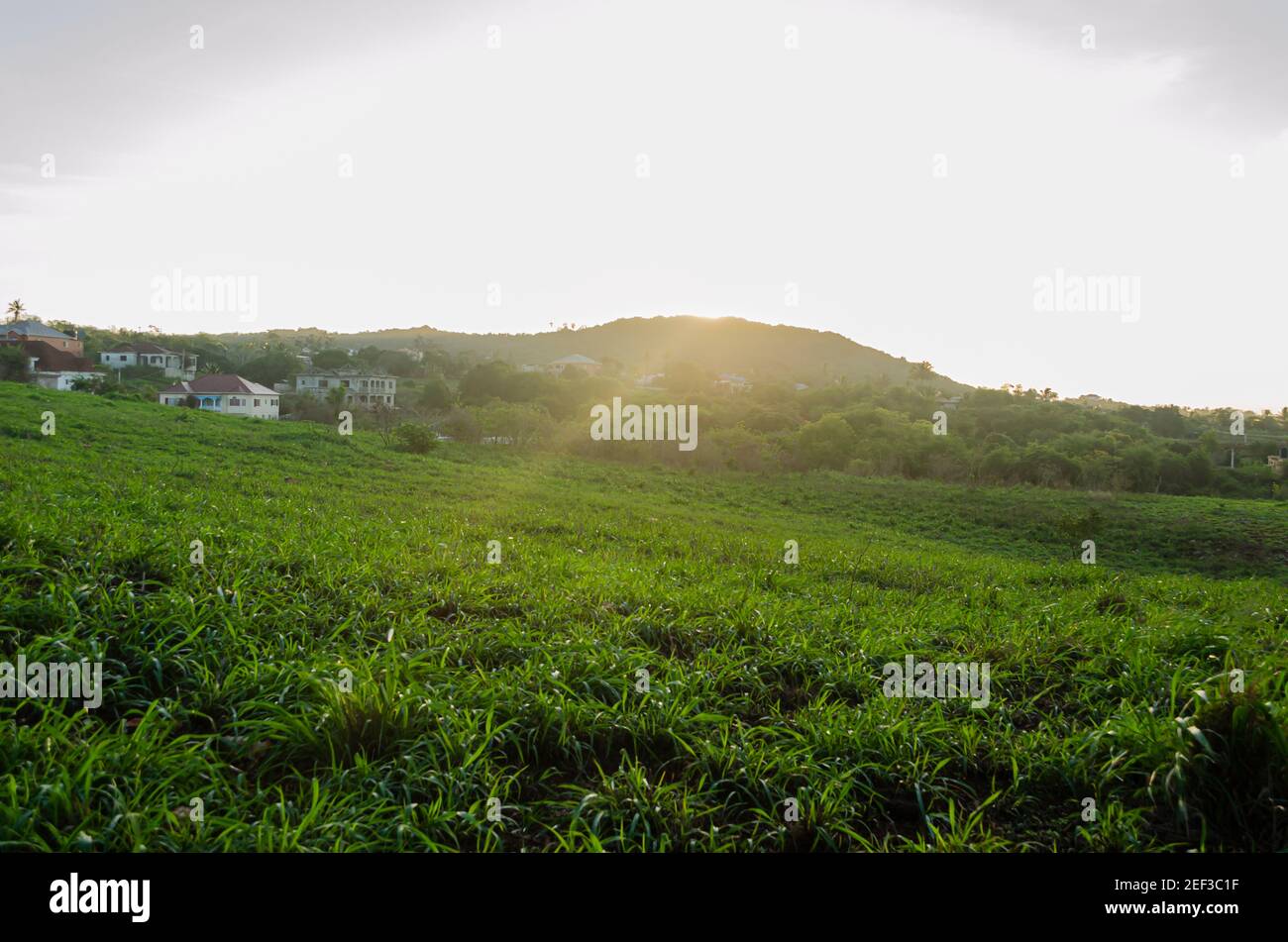 Sun rising over green valley hi-res stock photography and images - Alamy