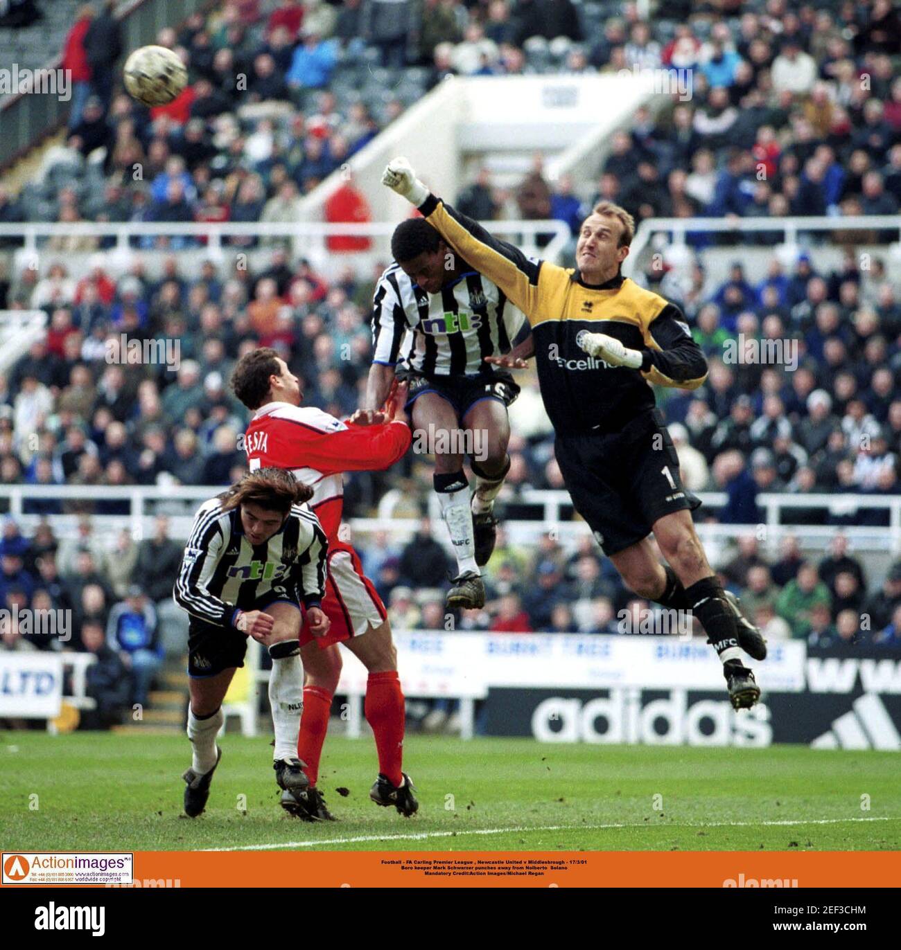 Mark solano hi-res stock photography and images - Alamy