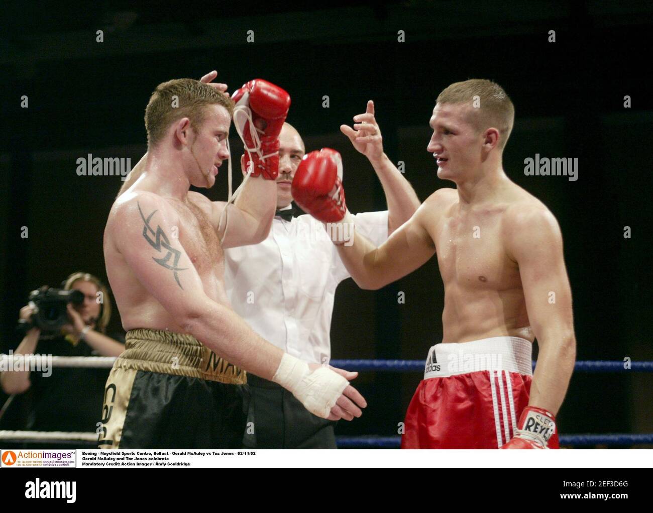 Taz jones hi-res stock photography and images - Alamy