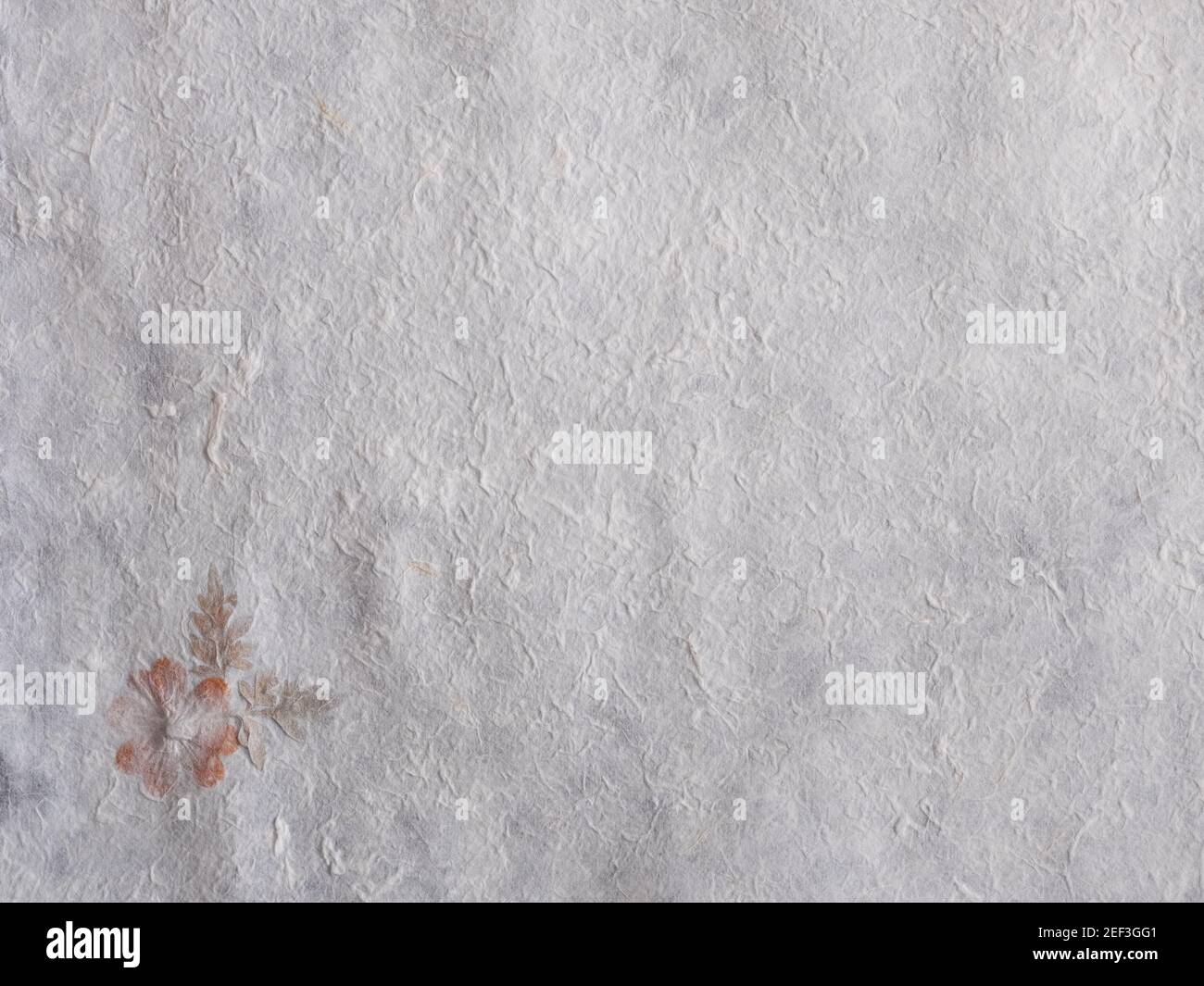 Fine japanese paper hi-res stock photography and images - Alamy