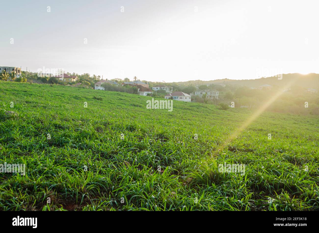 Rural Landscape At Sunrise Stock Photo - Alamy