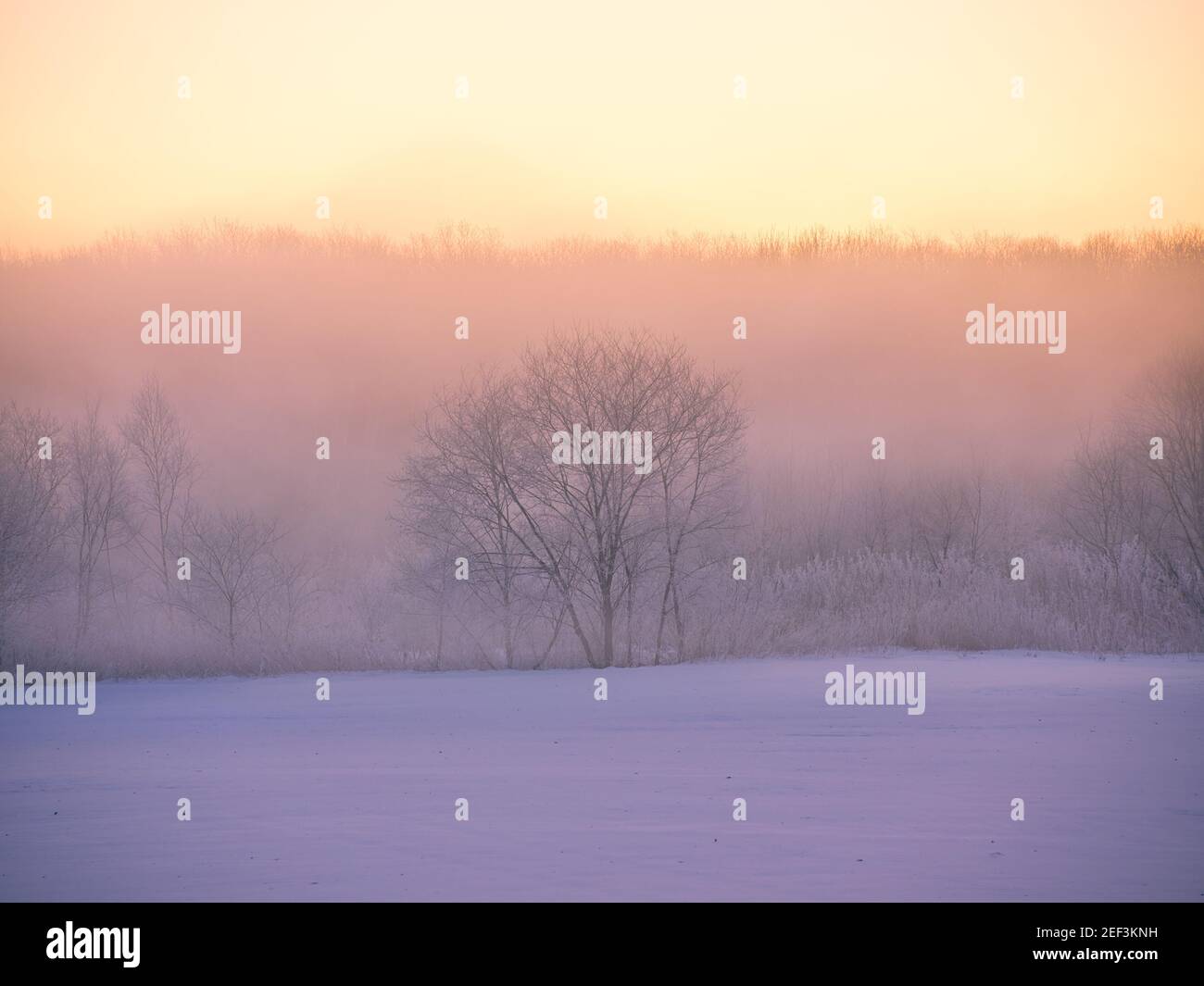 Rime Ice and Steam Fog Stock Photo - Alamy