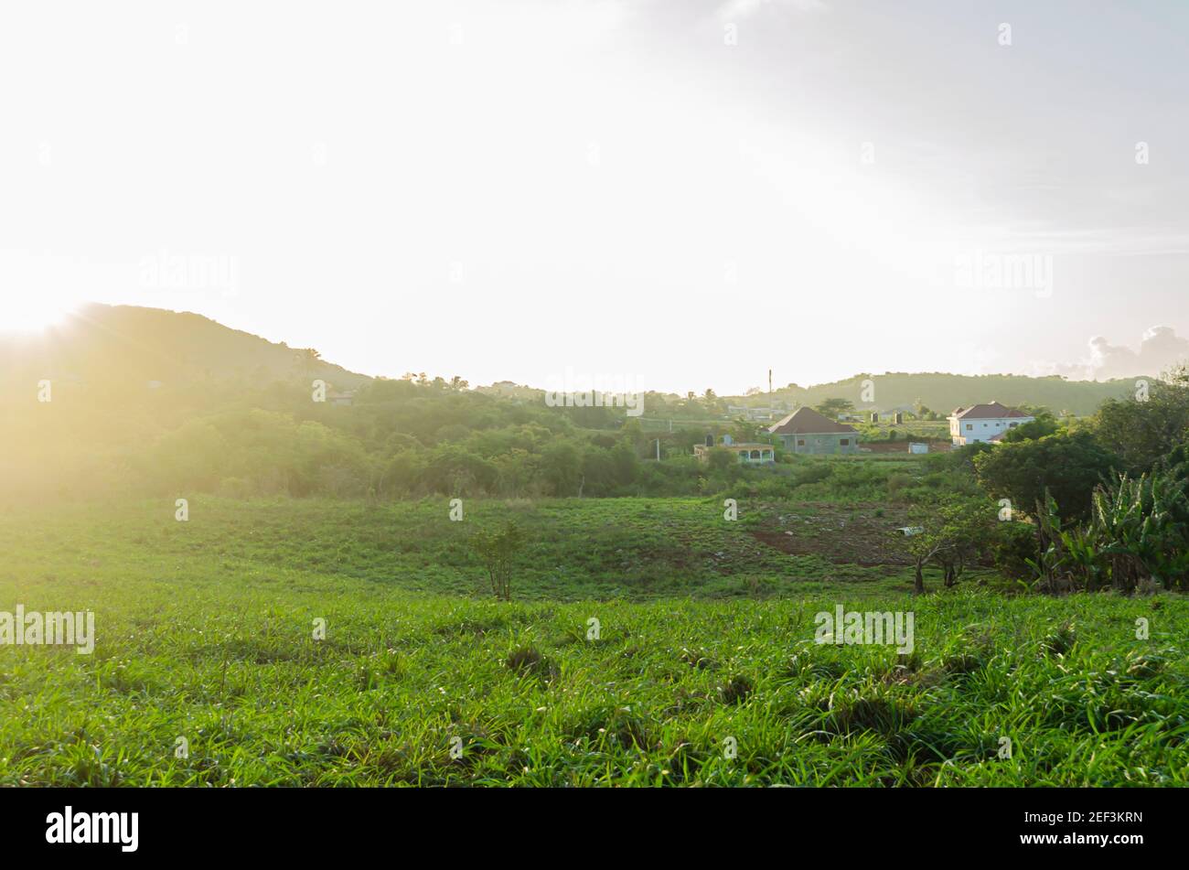 Green Landscape At Sunrise Stock Photo - Alamy