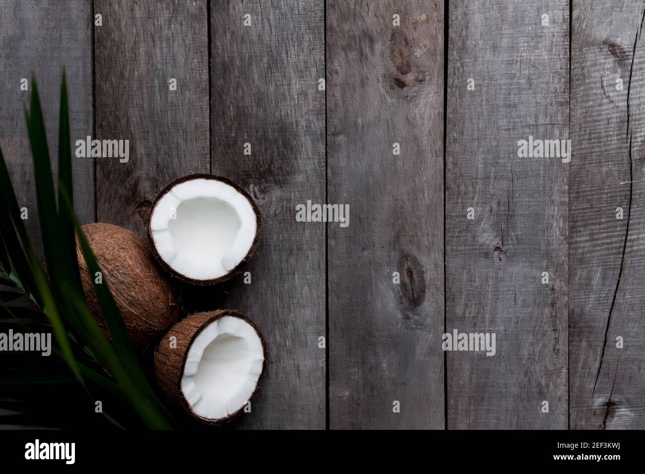 Broken coconuts on gray wooden background with palm leaf. White coconut ...