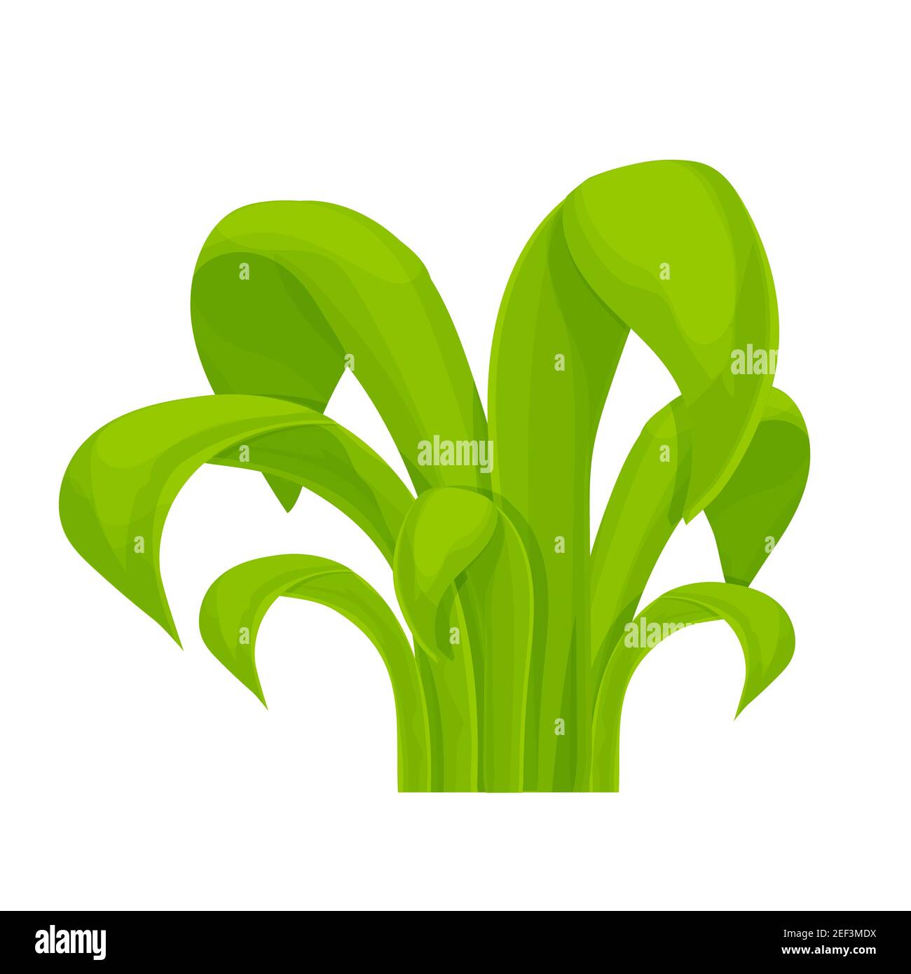 Green grass in cartoon style, bright herb isolated on white background ...