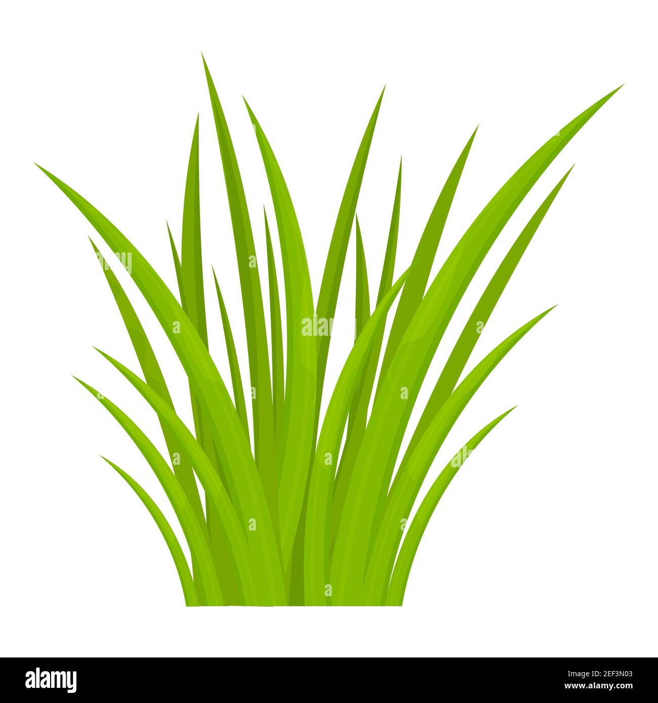 Green grass in cartoon style, bright herb isolated on white background ...