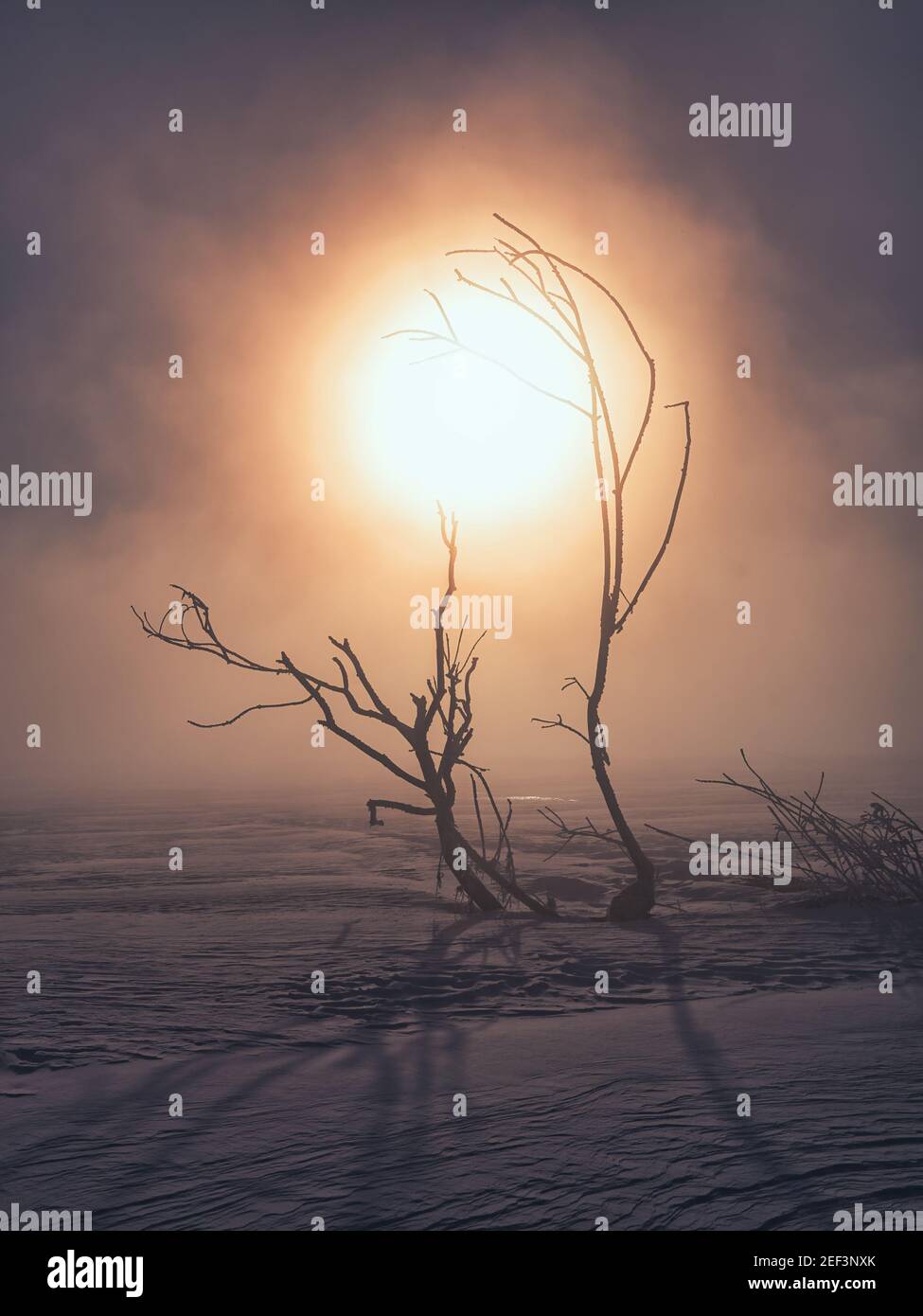 Land of steam in snow hi-res stock photography and images - Alamy