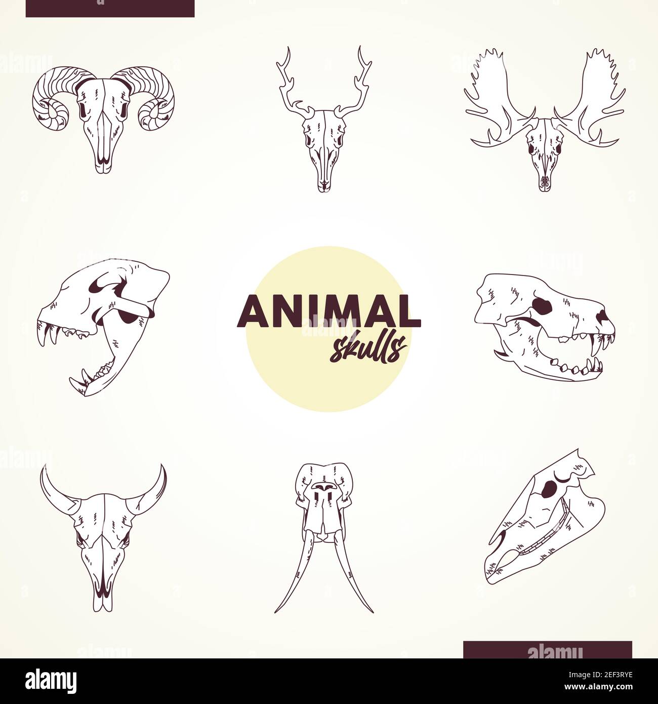 bundle of eight skulls animals heads icons vector illustration design ...