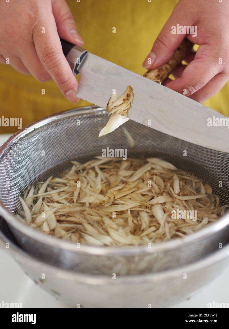 Japanese burdock hi-res stock photography and images - Alamy