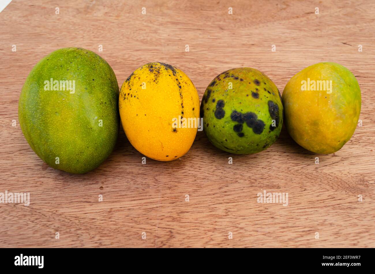 Mango Varieties In Cuba