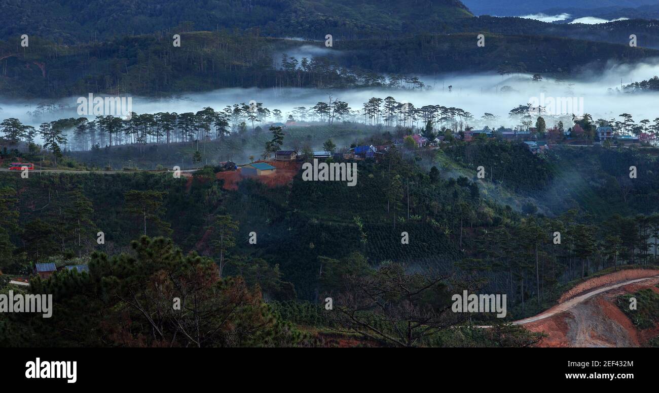 The cloudy season comes back on Lam Lat Forest Park Stock Photo - Alamy