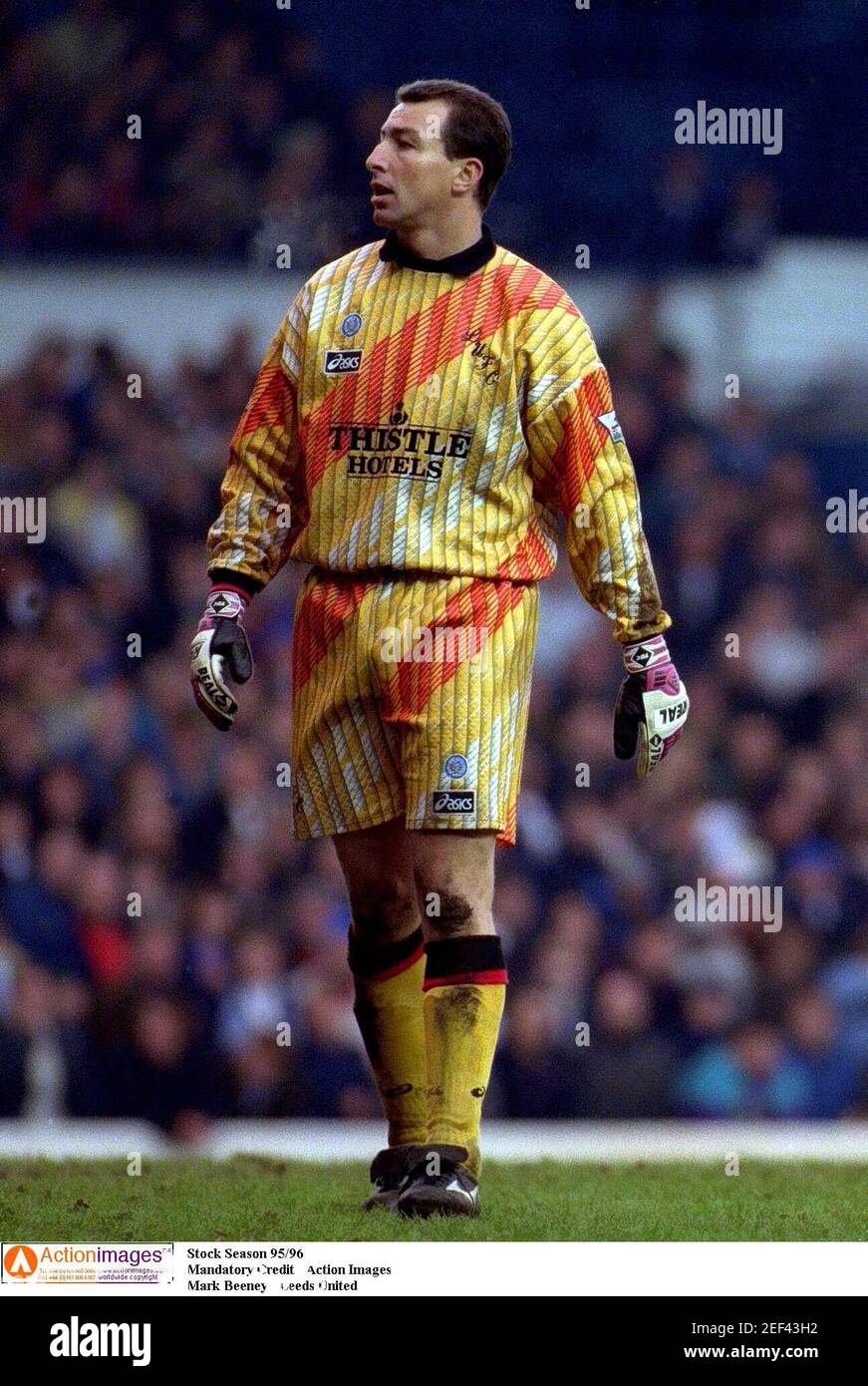 95 and 96 hi-res stock photography and images - Alamy