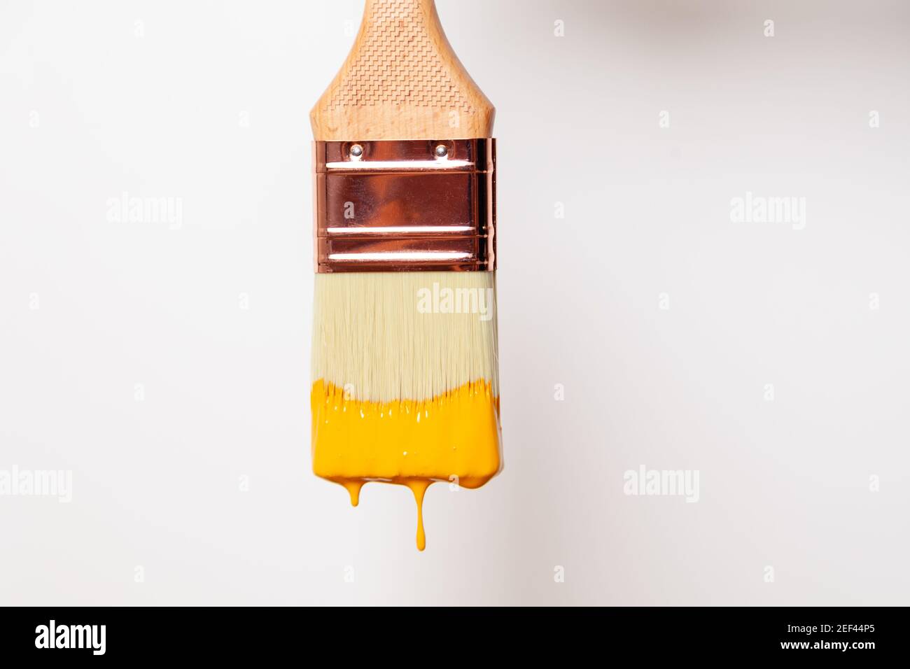 Close-up paintbrush with liquid yellow paint drips off the brush Stock ...