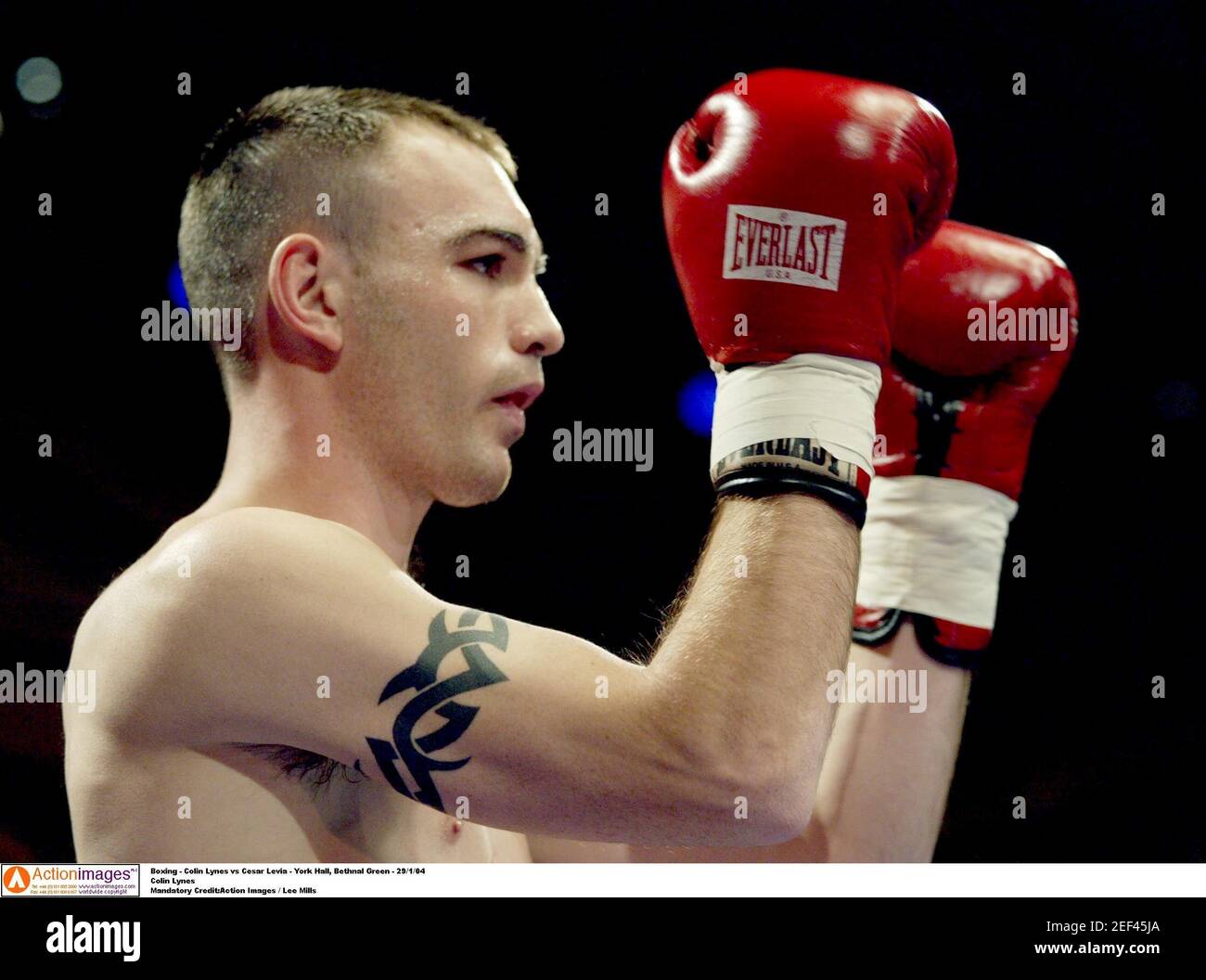 Levia High Resolution Stock Photography and Images - Alamy