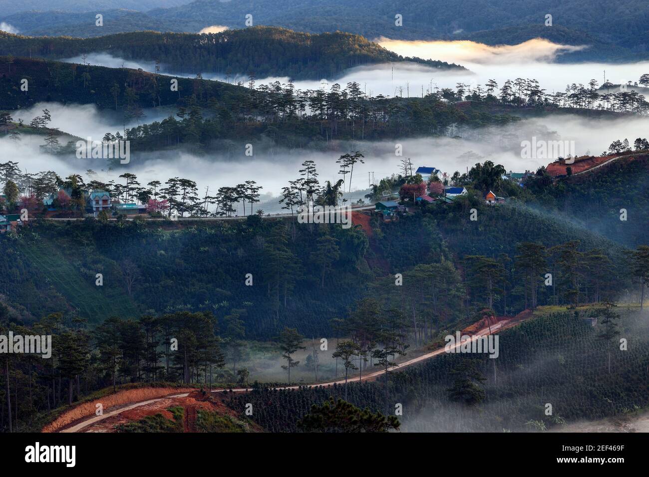 The cloudy season comes back on Lam Lat Forest Park Stock Photo - Alamy