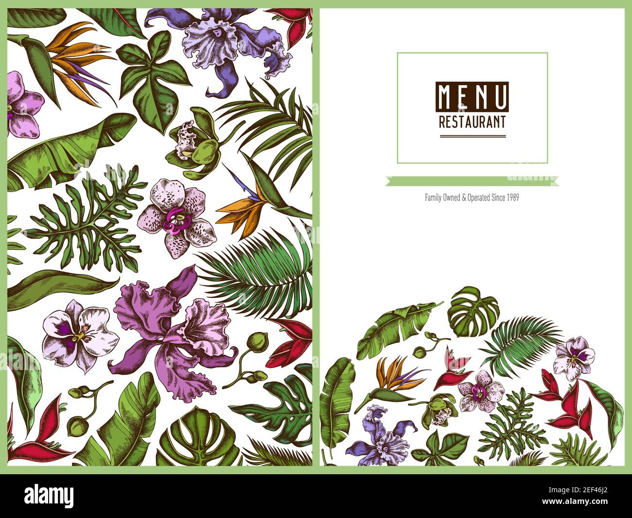 Menu cover floral design with colored monstera, banana palm leaves ...