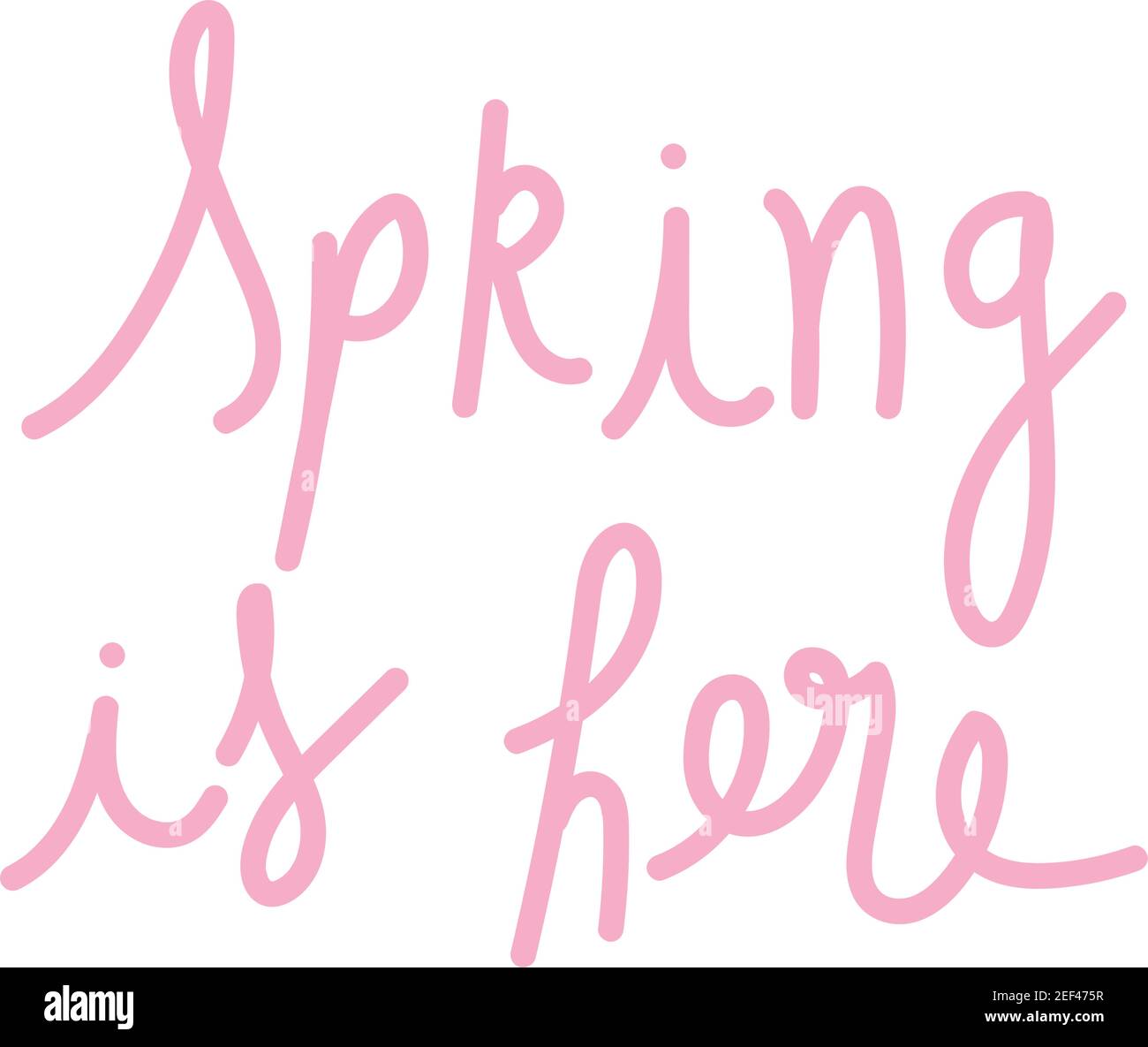 pink hand drawn lettering spring is here vector illustration isolated ...