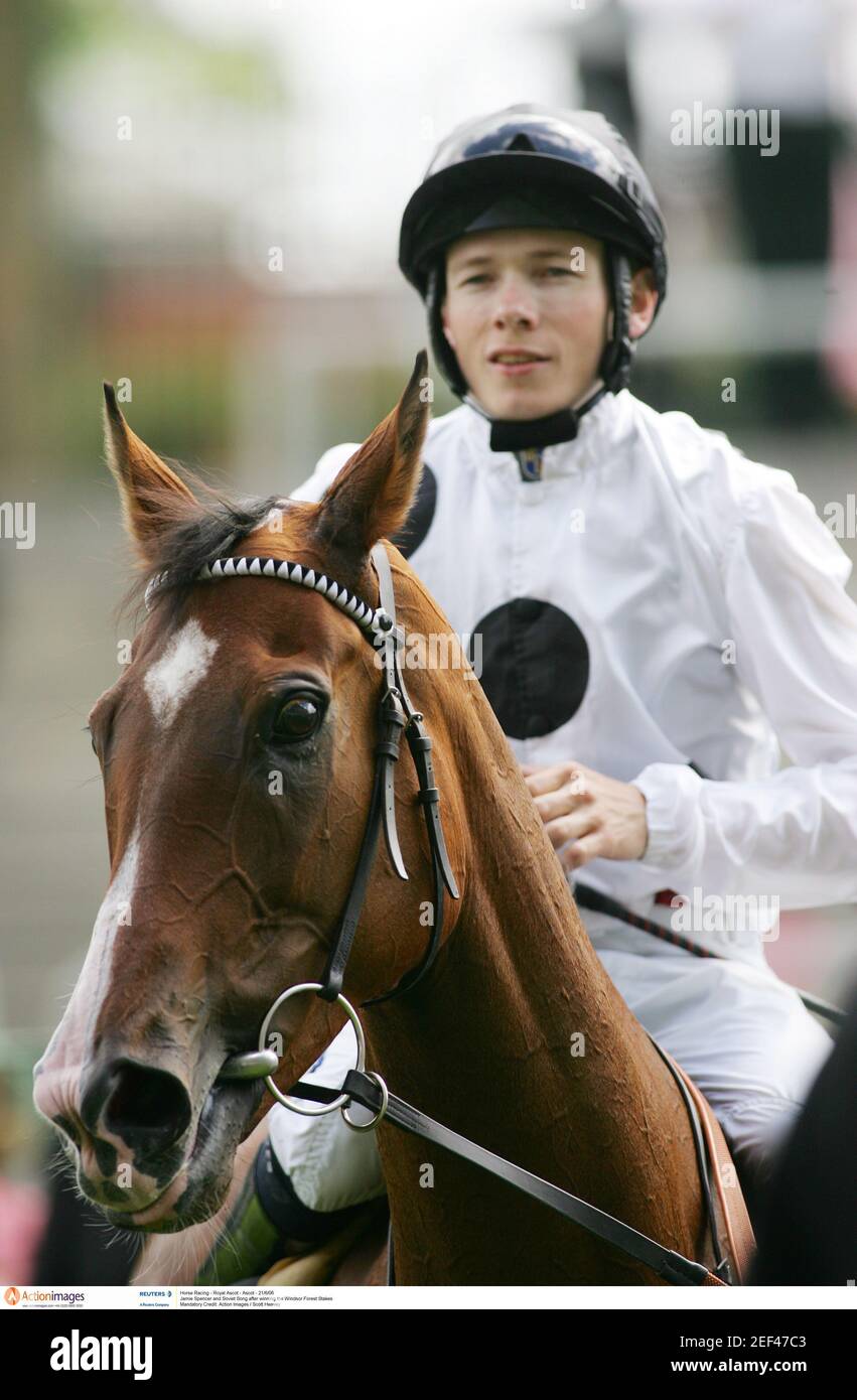 Soviet song horse hi-res stock photography and images - Alamy