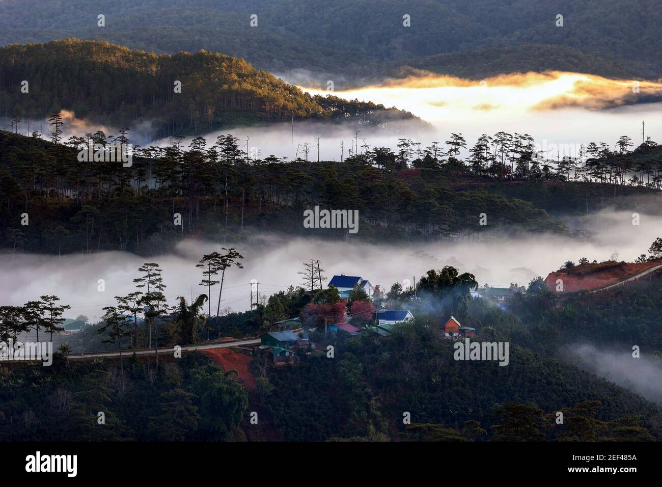 The cloudy season comes back on Lam Lat Forest Park Stock Photo - Alamy