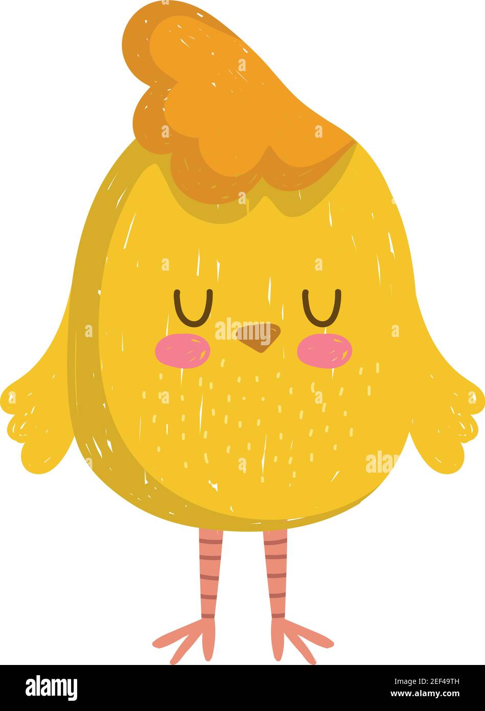 cute chicken bird animal cartoon vector illustration white background ...