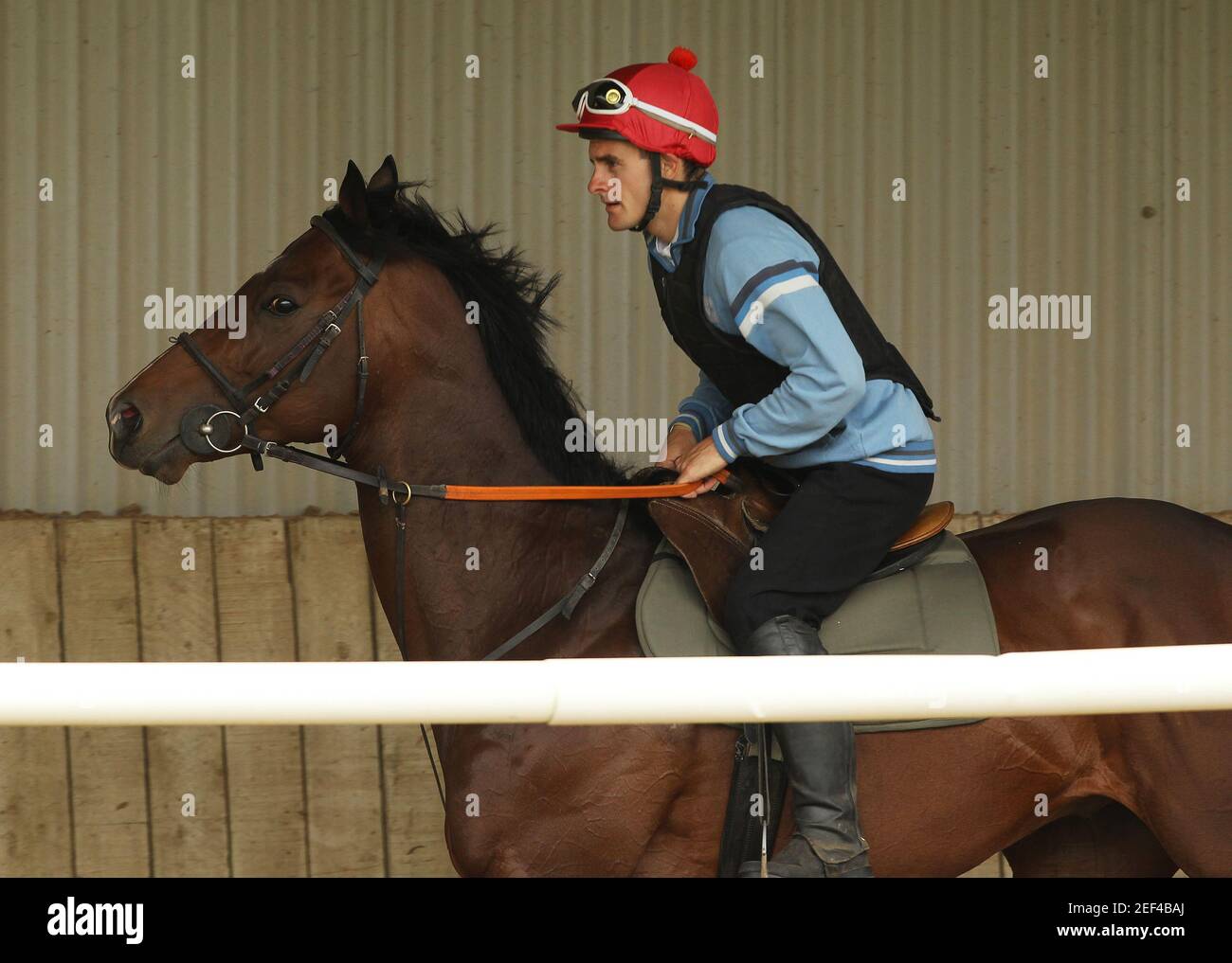 Amanda Temple High Resolution Stock Photography and Images - Alamy