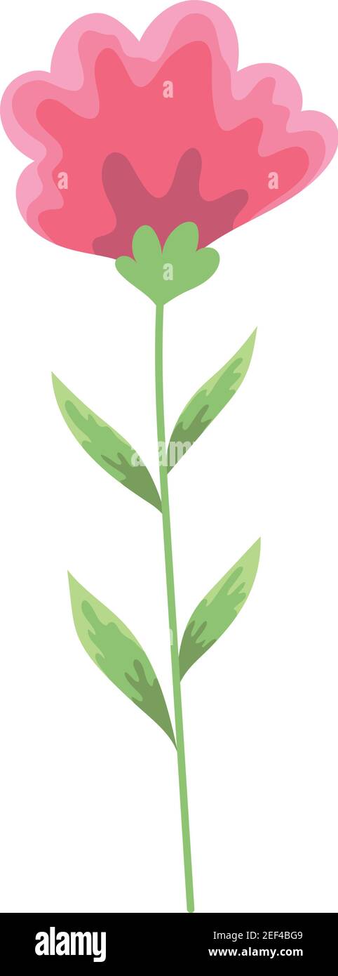Single flower in detail Stock Vector Images - Alamy