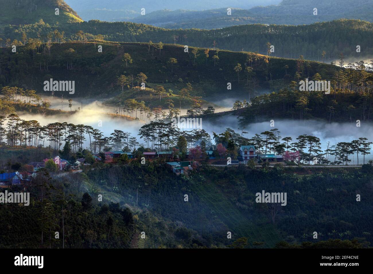The cloudy season comes back on Lam Lat Forest Park Stock Photo - Alamy