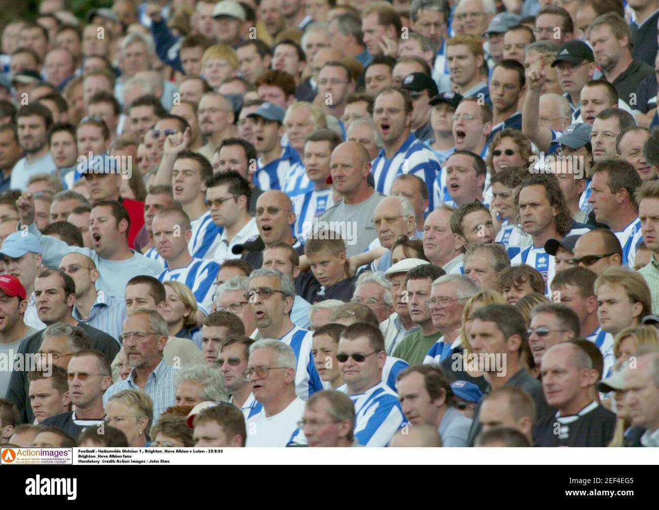 Brighton hove albion fans division hi-res stock photography and images ...