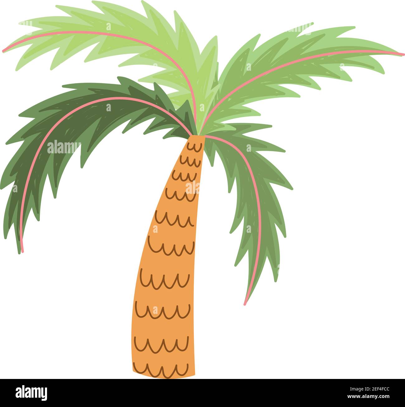 tropical palm tree nature exotic cartoon isolated vector illustration ...