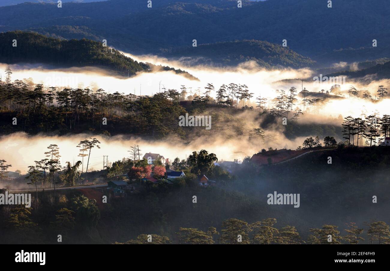 The cloudy season comes back on Lam Lat Forest Park Stock Photo - Alamy