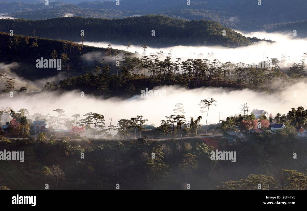 The cloudy season comes back on Lam Lat Forest Park Stock Photo - Alamy