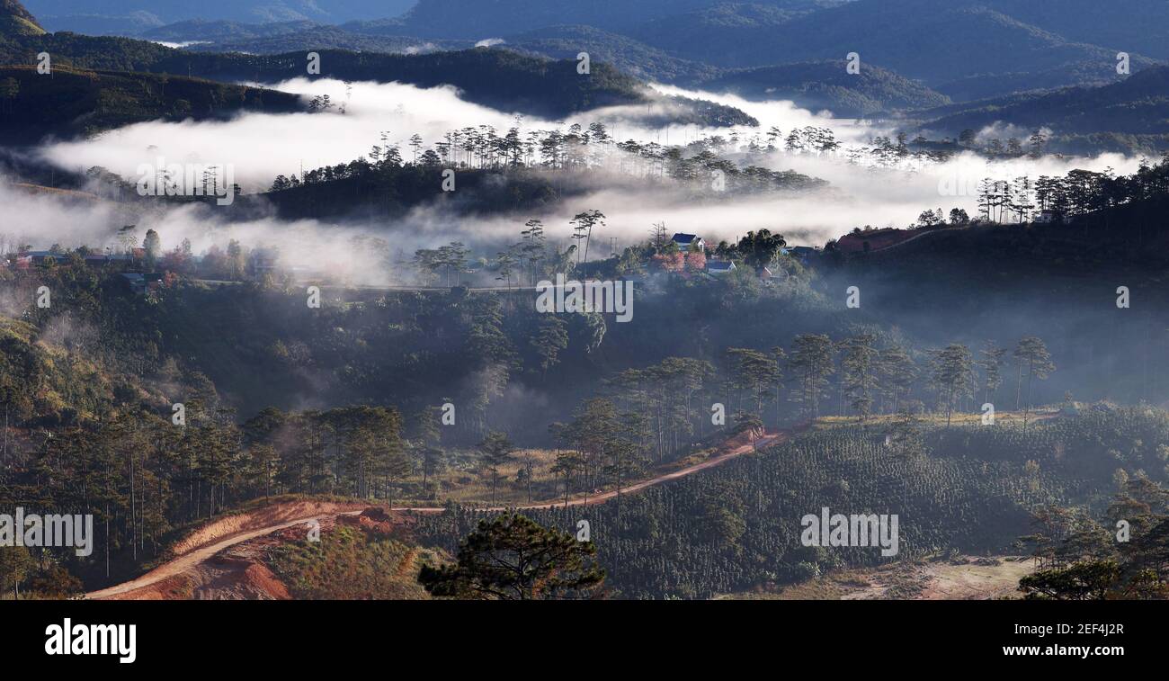 The cloudy season comes back on Lam Lat Forest Park Stock Photo - Alamy