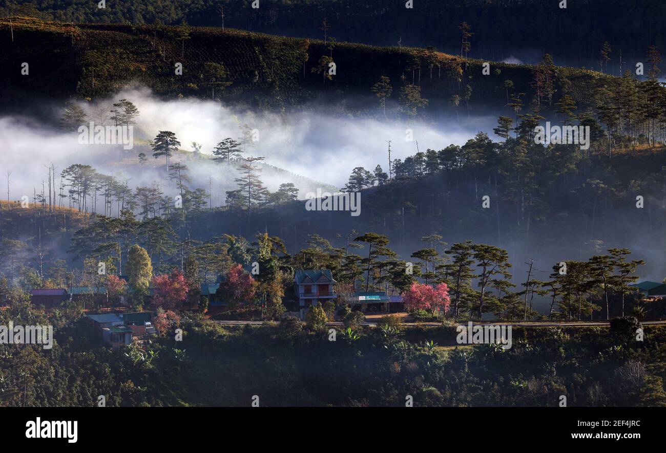 The cloudy season comes back on Lam Lat Forest Park Stock Photo - Alamy
