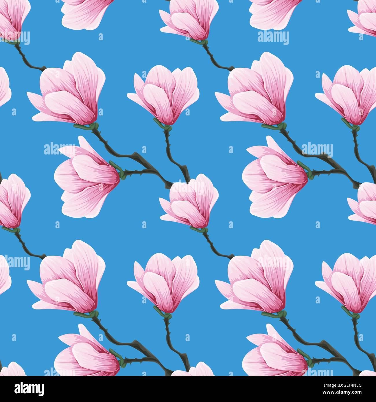 Vector seamless pattern sprig of blooming pink magnolia. Sketch of ...