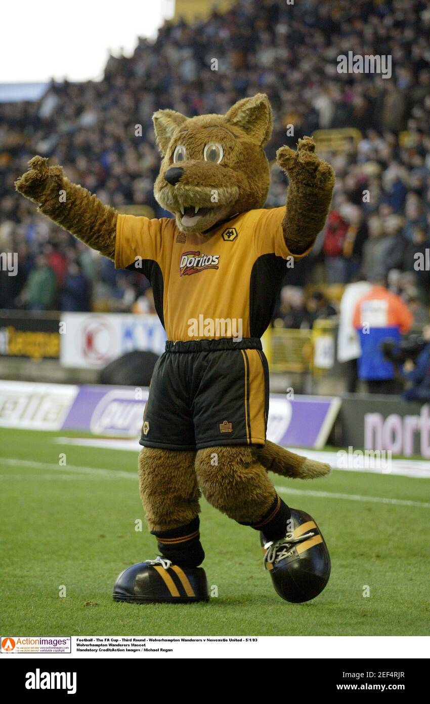Wolverhampton Wanderers Mascot High Resolution Stock Photography and ...