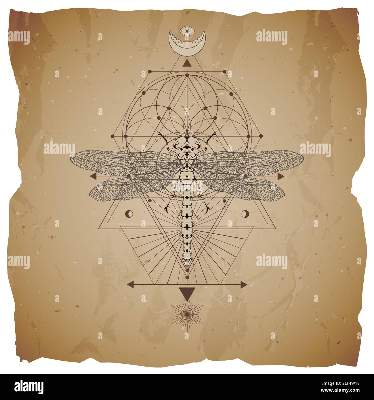 Vector illustration with hand drawn dragonfly and Sacred geometric ...