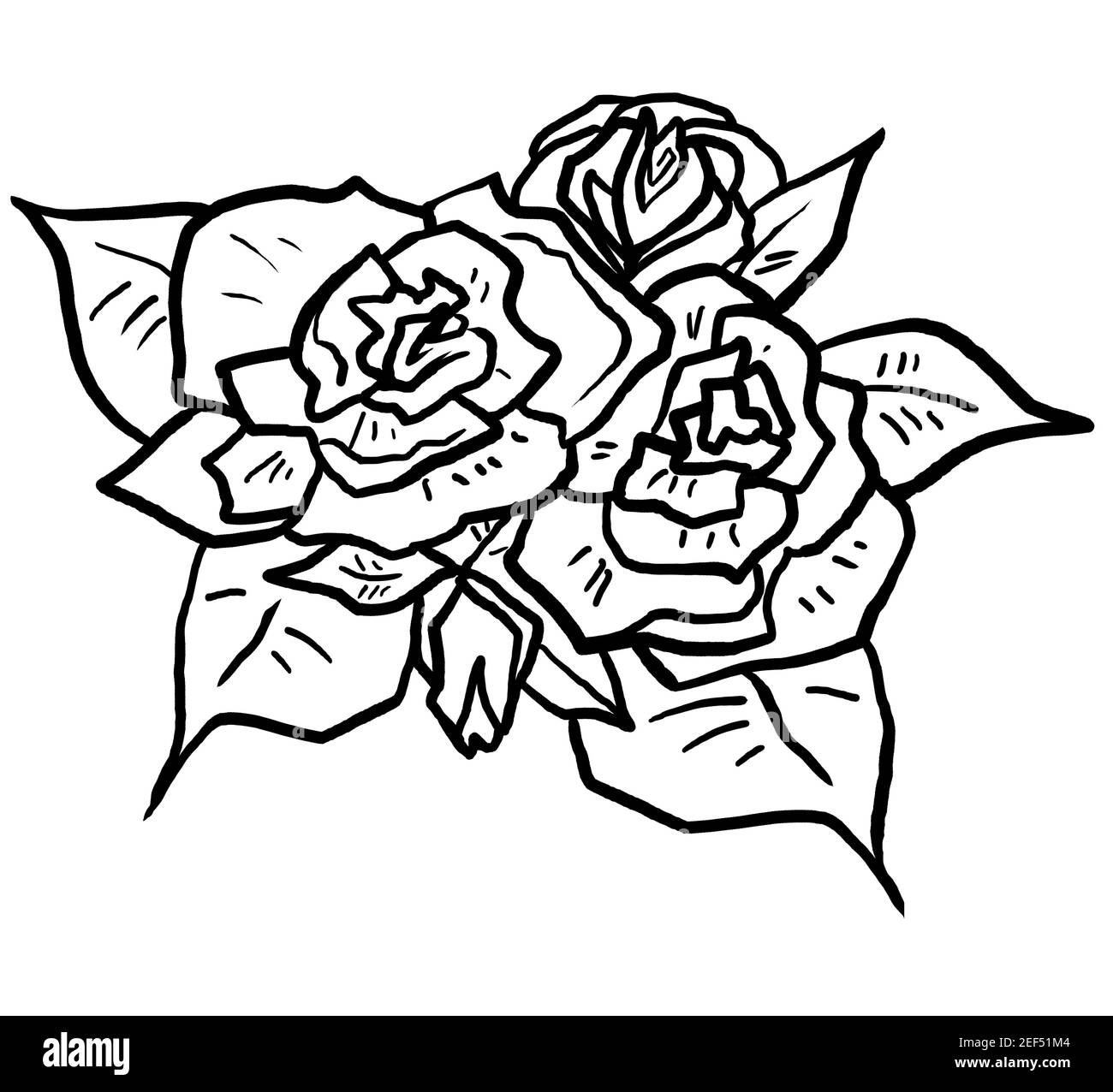 Vegetarian menu card Black and White Stock Photos & Images - Alamy